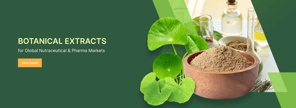 Herbs | Botanical Extracts | Premium Quality Herbs & Botanical Extracts ...